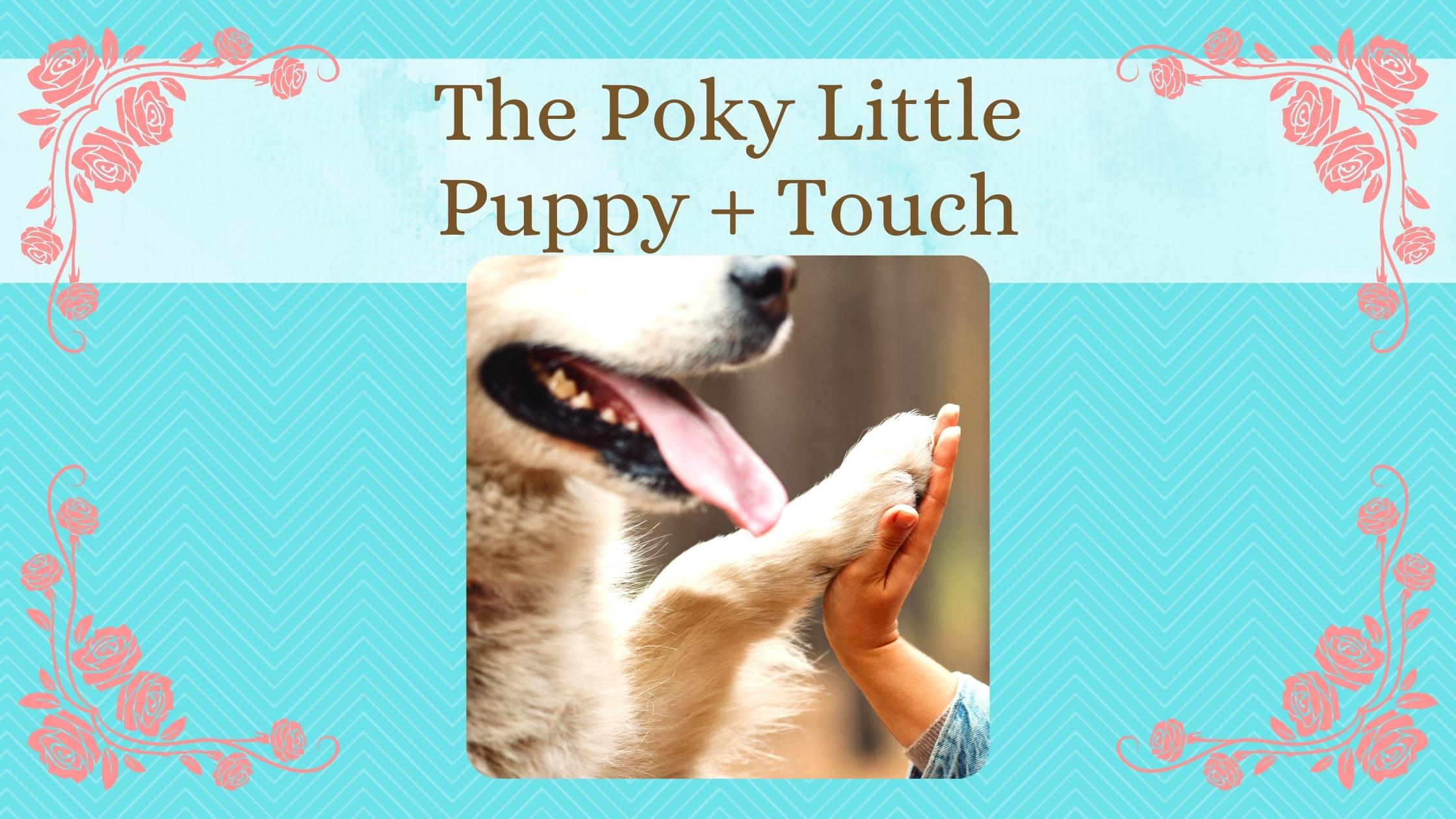 The Poky Little Puppy & the Sense of Touch - More Than Just Reading