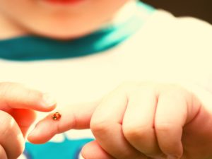 9 Fun Sense of Touch Activities - More Than Just Reading