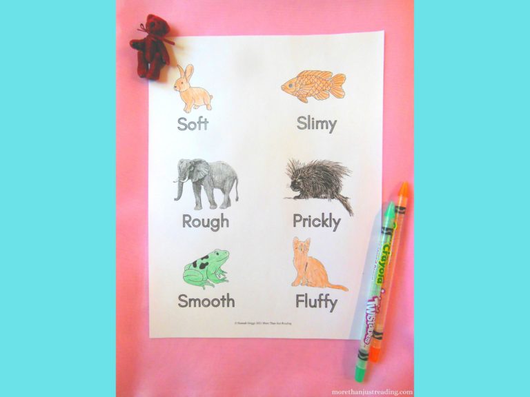 9 Fun Sense of Touch Activities - More Than Just Reading