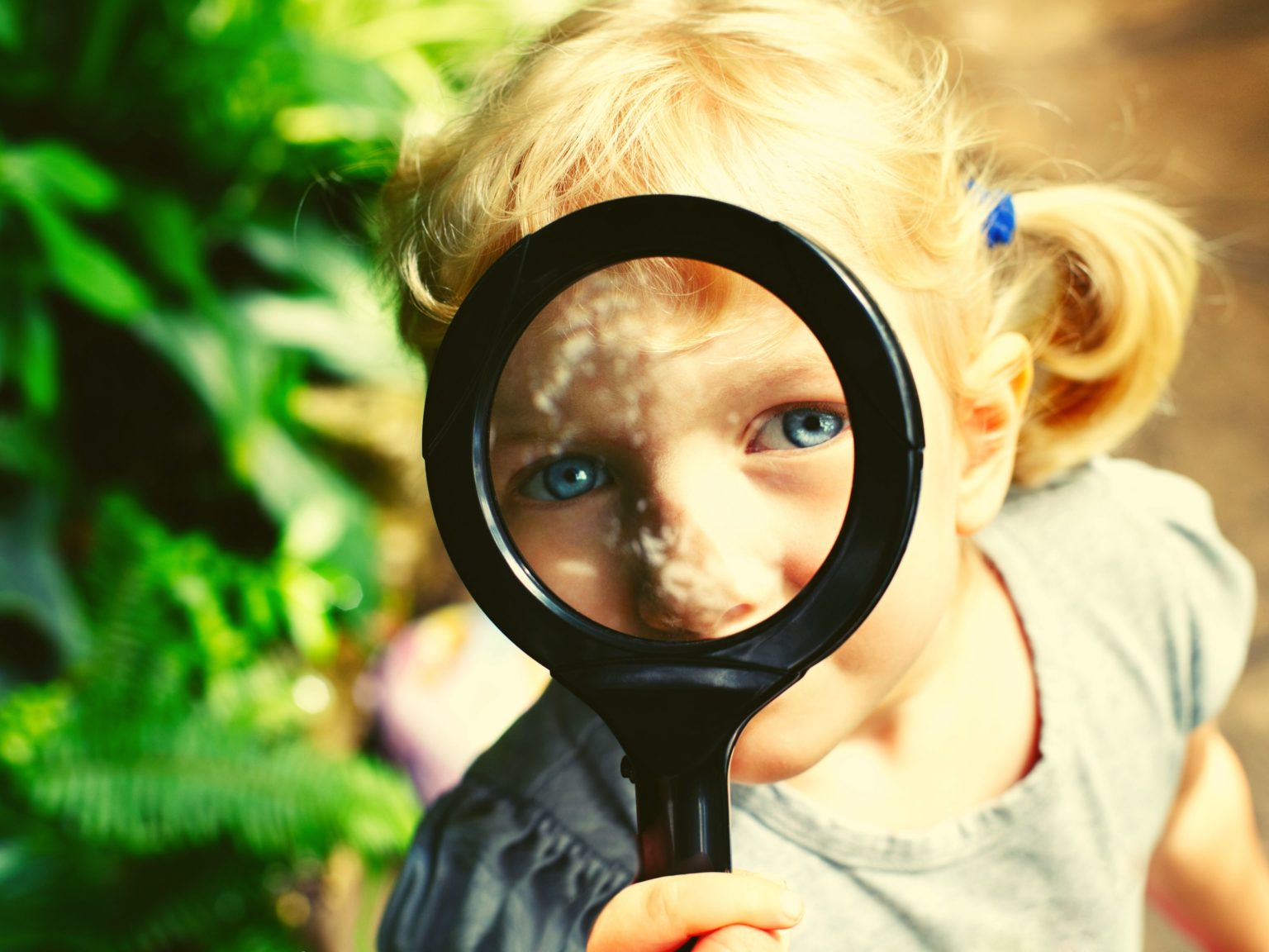 7 Fun Sense of Sight Activities for 1st Graders - More Than Just Reading