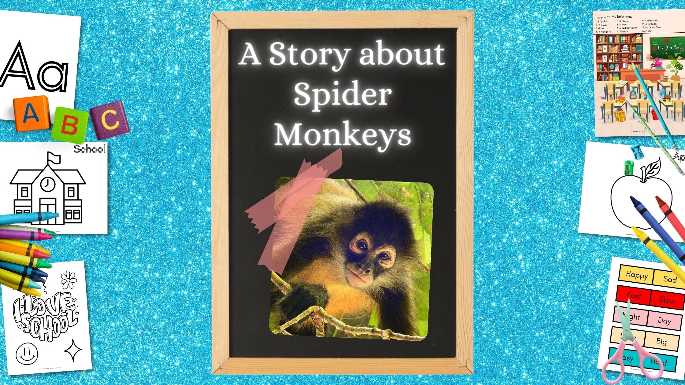 A Spider Monkey Lesson for 1st Grade - More Than Just Reading