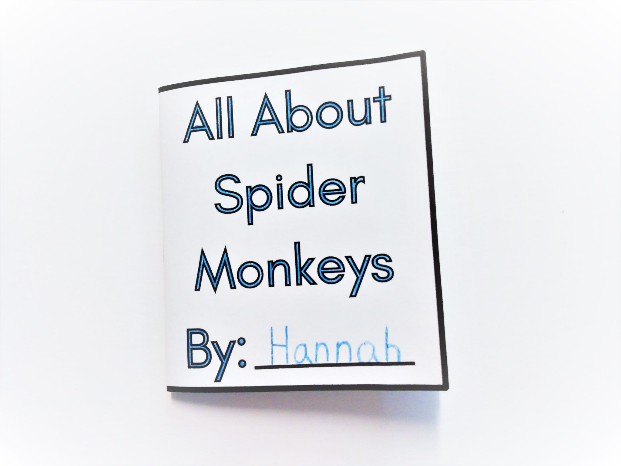 A Spider Monkey Lesson for 1st Grade - More Than Just Reading