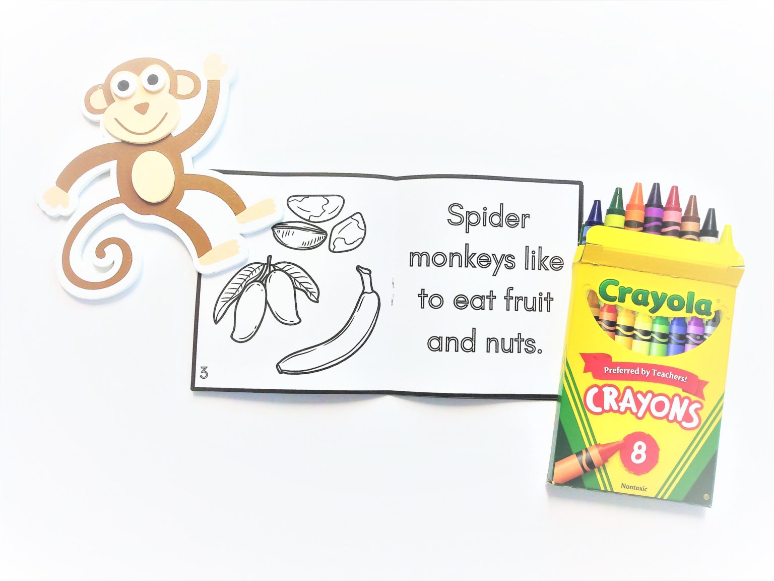 A Spider Monkey Lesson for 1st Grade - More Than Just Reading