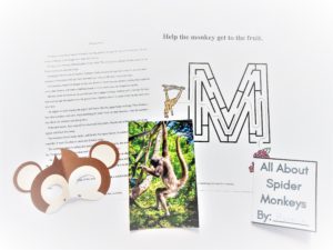 A Spider Monkey Lesson for 1st Grade - More Than Just Reading